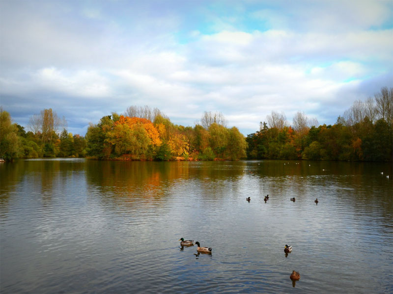 Dog Friendly Parks in Warwickshire